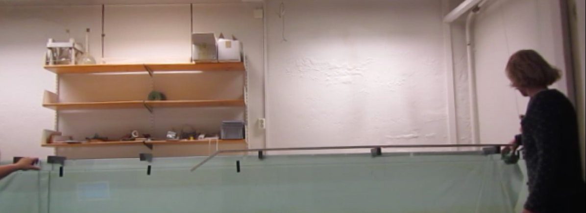 Phase and group velocities in deep and shallow water - Adventures in ...