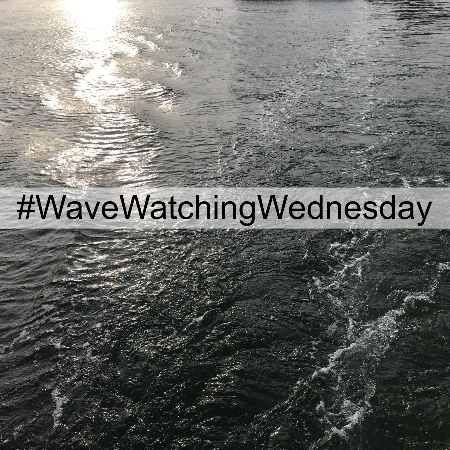 Recap of my #WaveWatching Insta for #WaveWatchingWednesday - Adventures ...