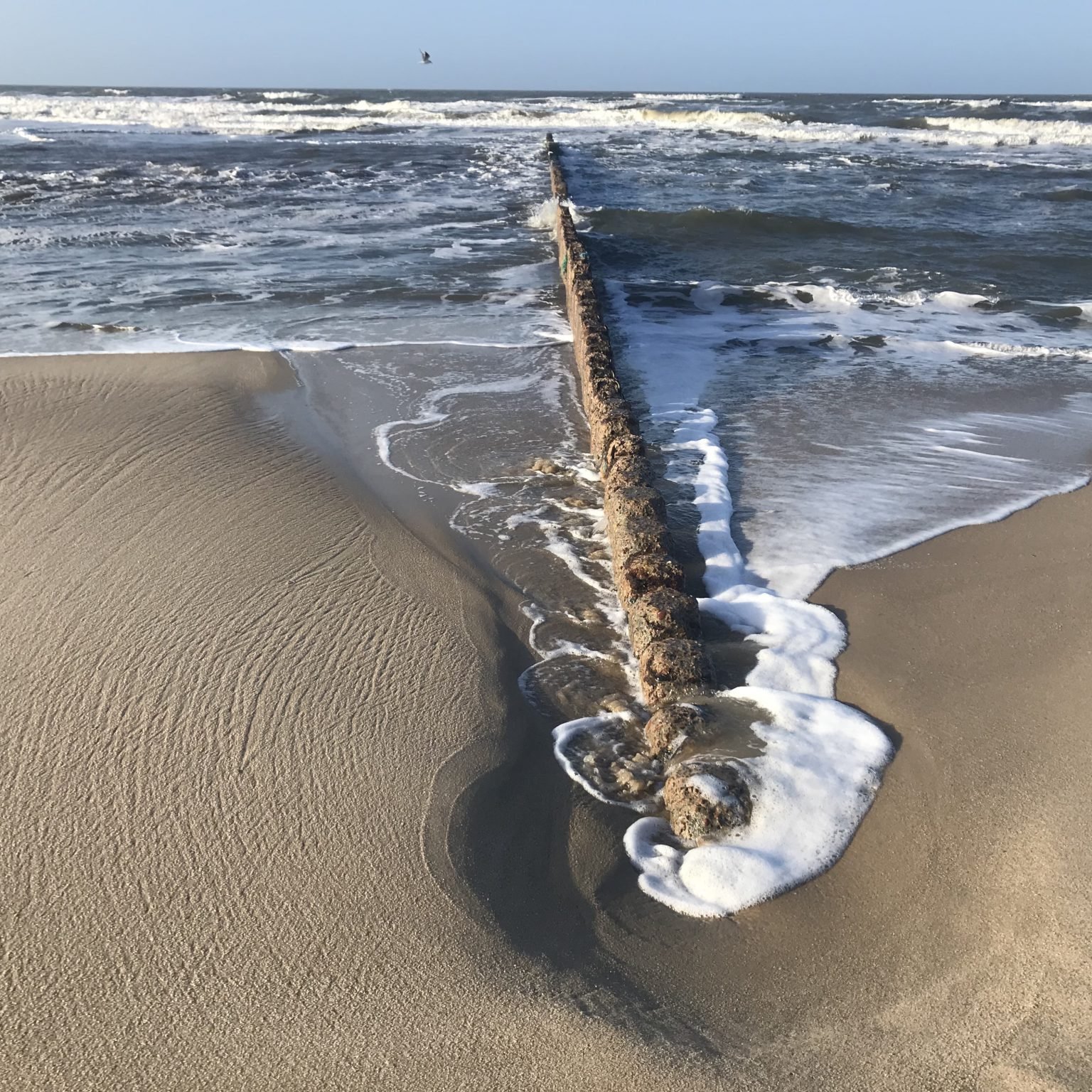 #WaveWatchingWednesday - Adventures in Oceanography and Teaching