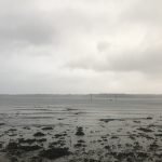 Pop-up beach walk - Adventures in Oceanography and Teaching