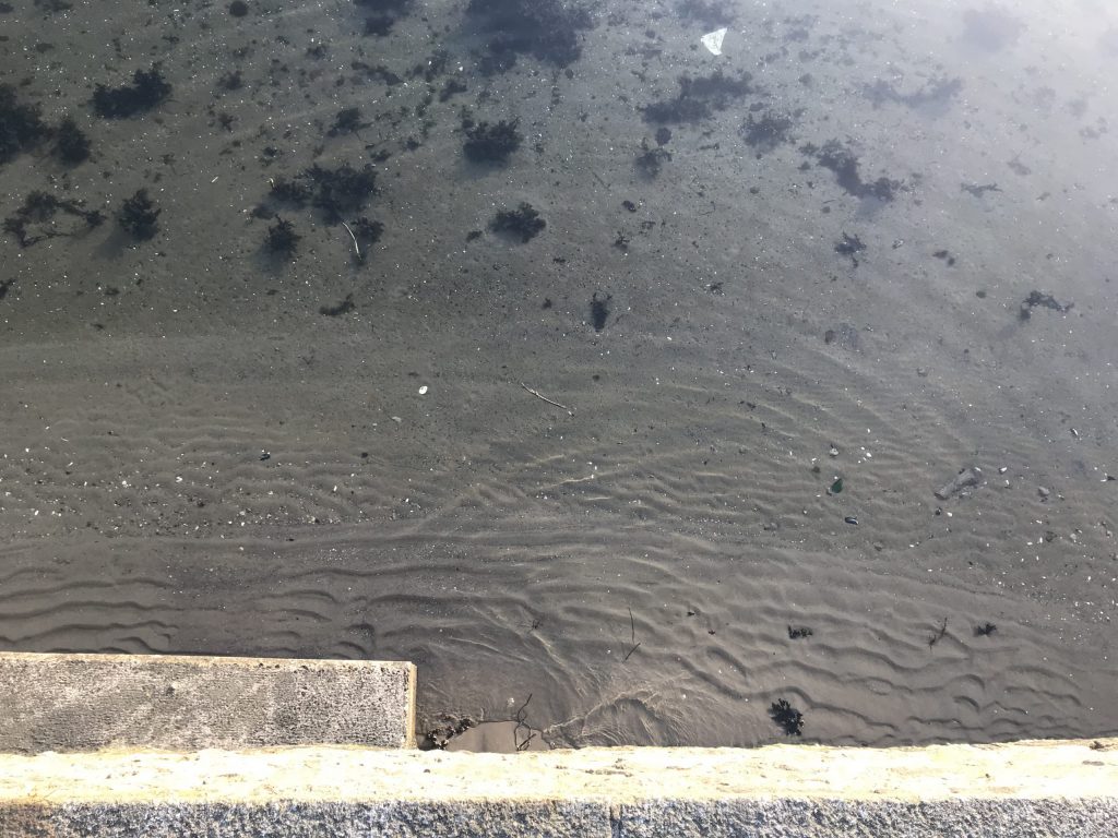 Sand ripples. Why do they form in the exact way they do? - Adventures ...