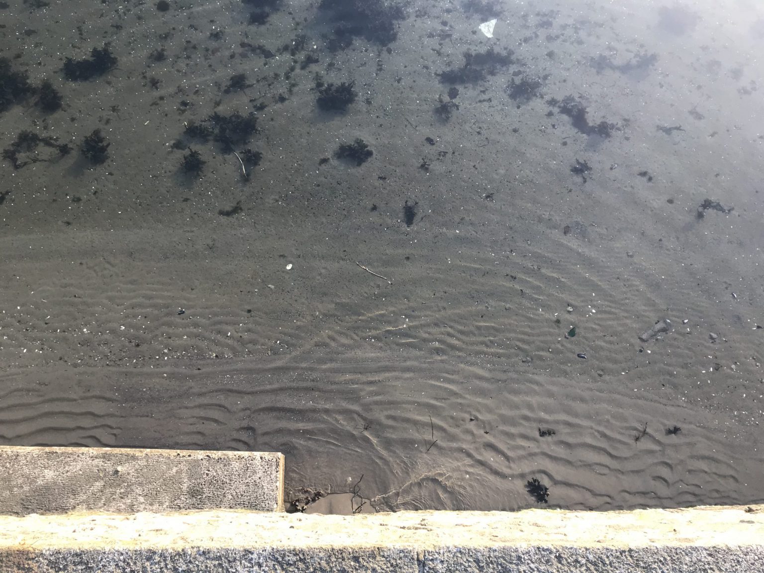 Sand ripples. Why do they form in the exact way they do? - Adventures ...