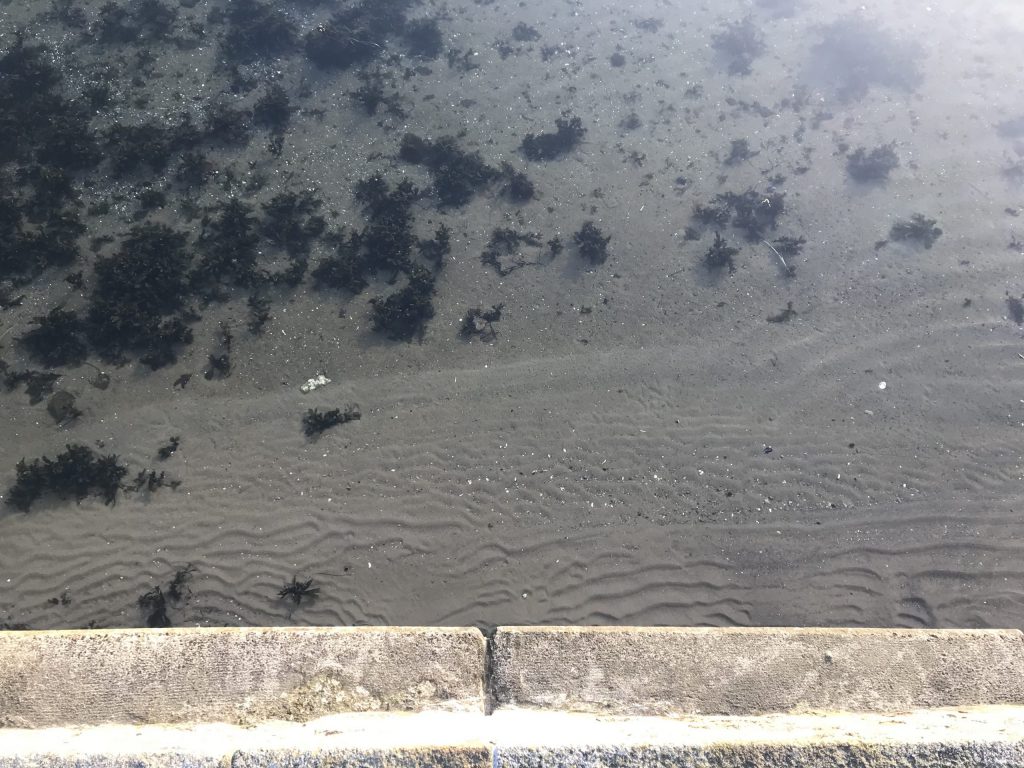 Sand ripples. Why do they form in the exact way they do? - Adventures ...