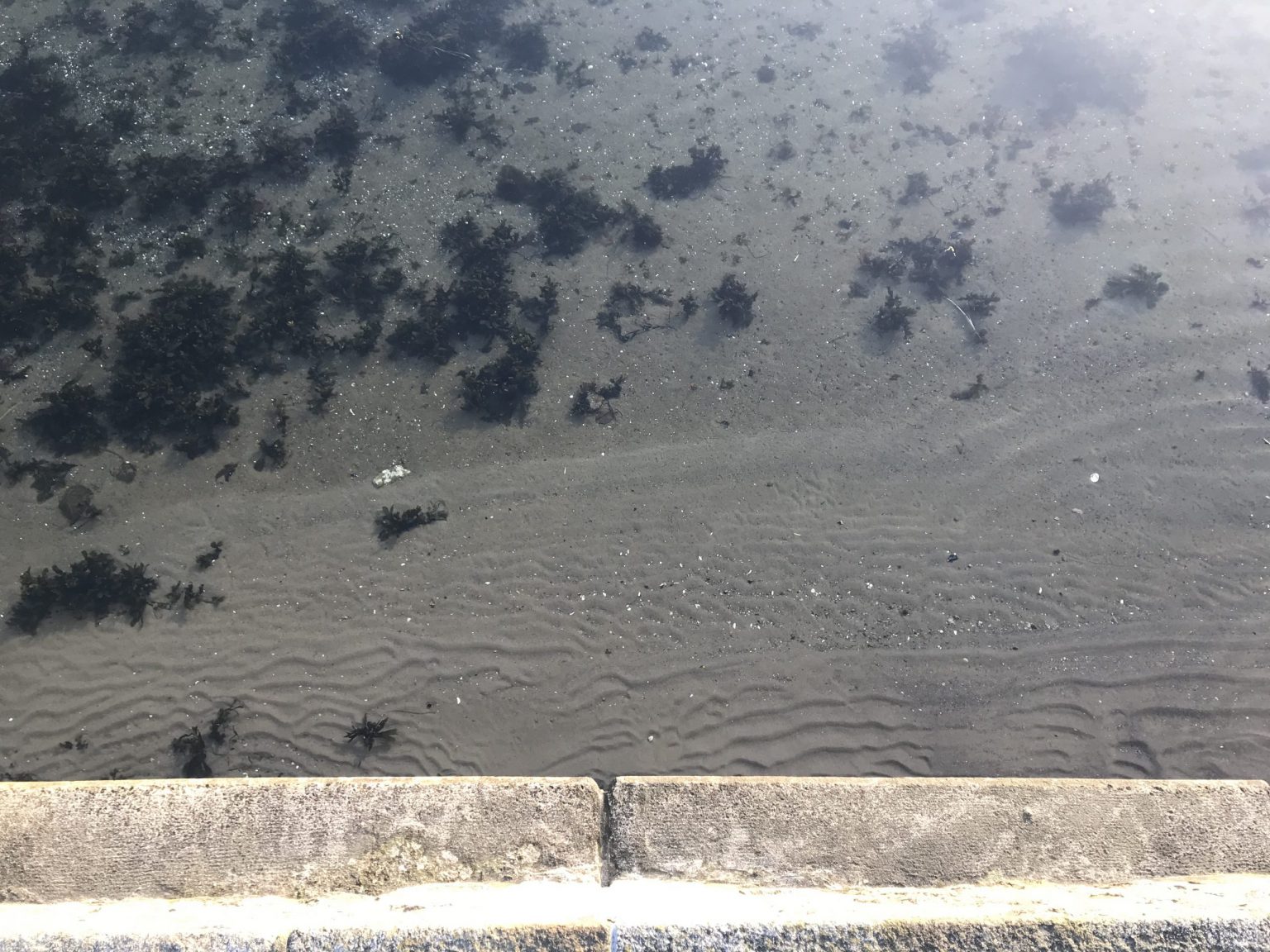 Sand ripples. Why do they form in the exact way they do? - Adventures ...