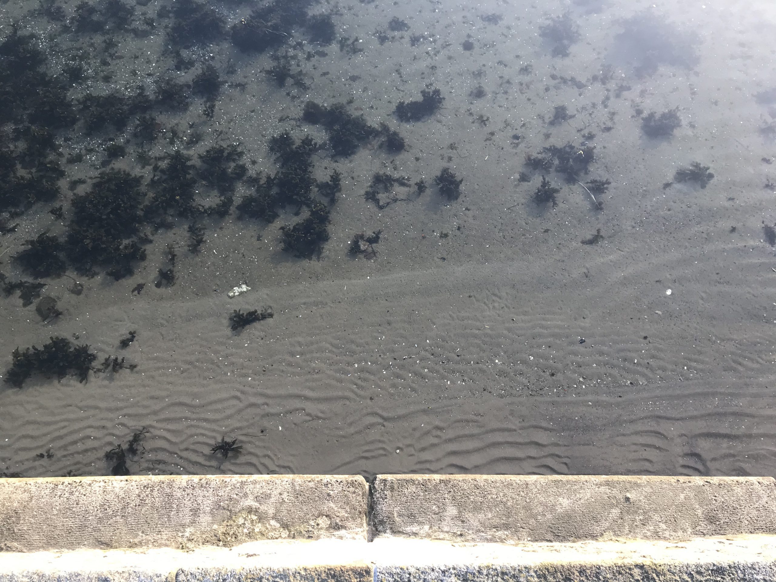 Sand ripples. Why do they form in the exact way they do? - Adventures ...