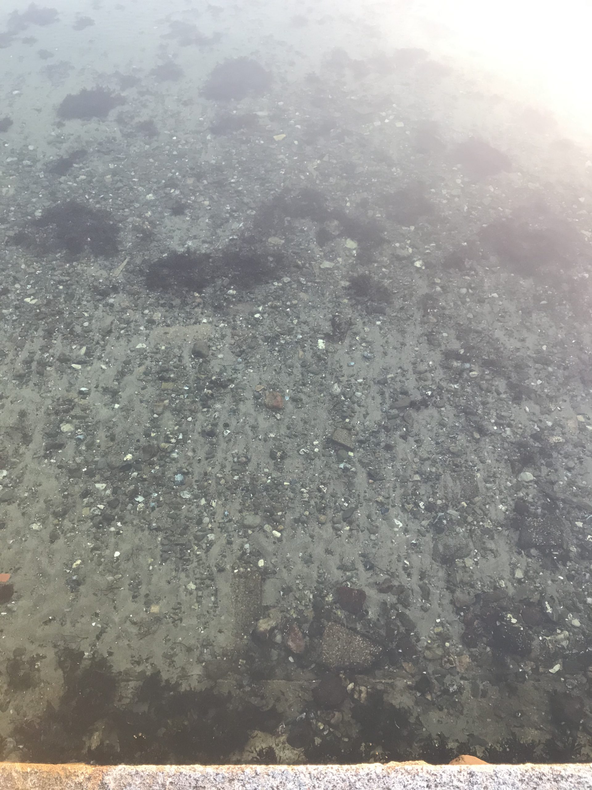 Sand ripples. Why do they form in the exact way they do? - Adventures ...