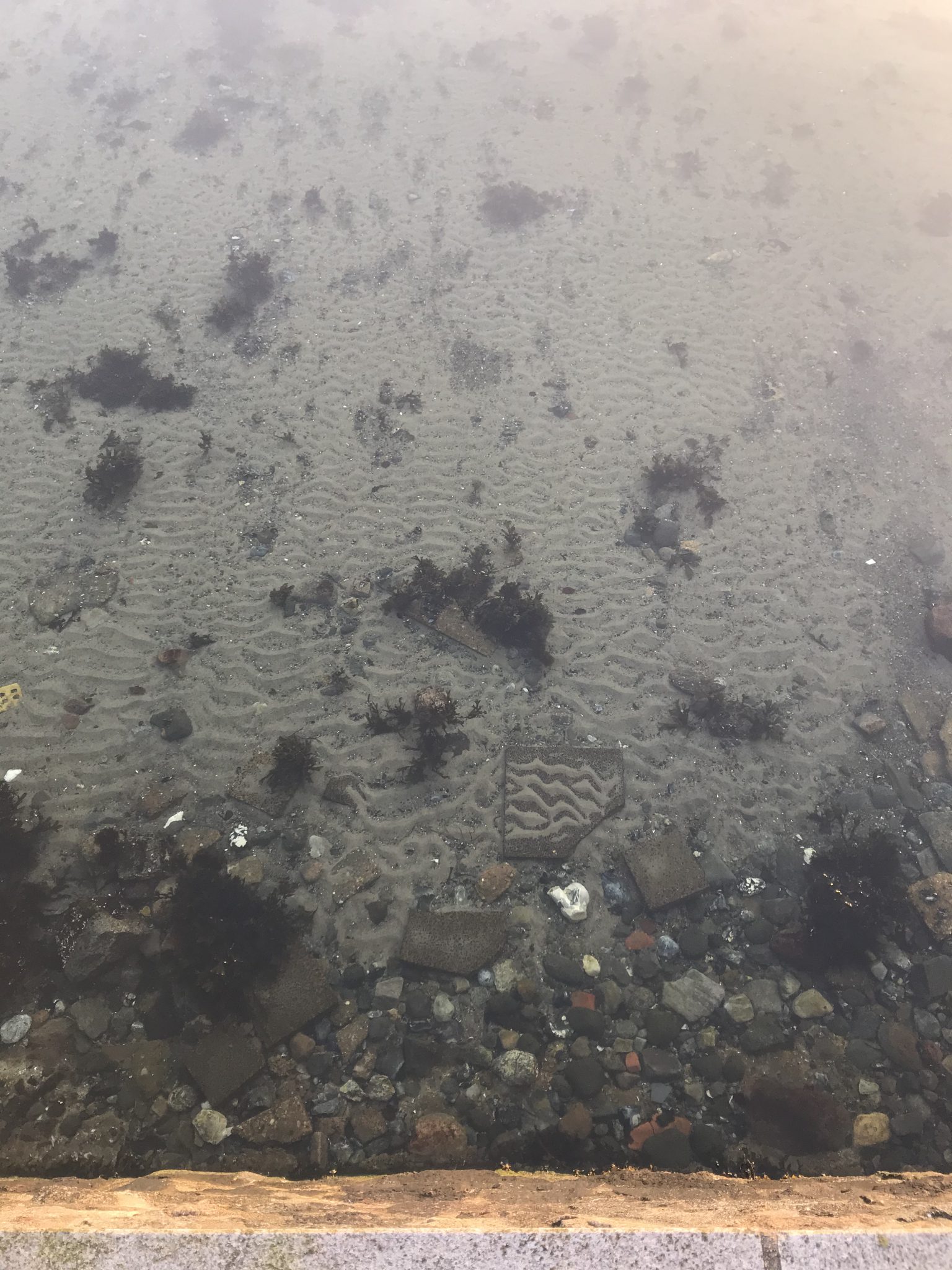 Sand ripples. Why do they form in the exact way they do? - Adventures ...