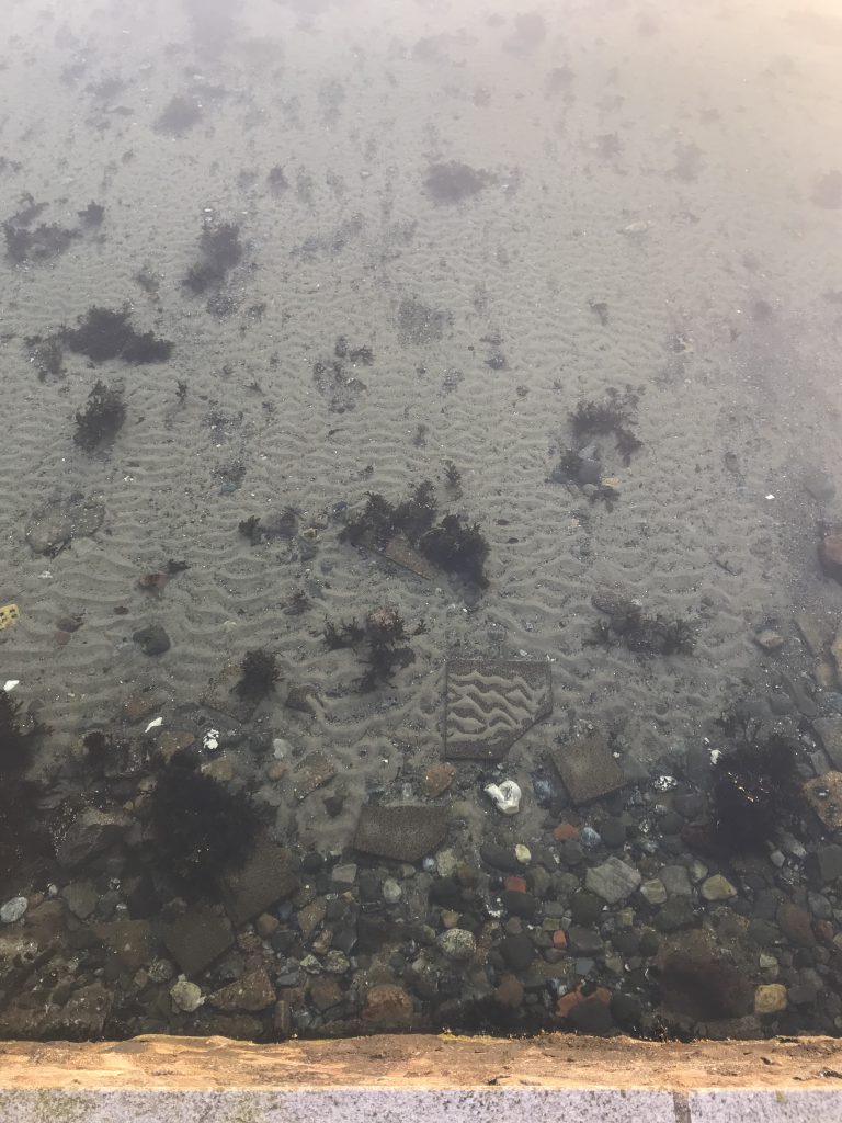 Sand ripples. Why do they form in the exact way they do? - Adventures ...