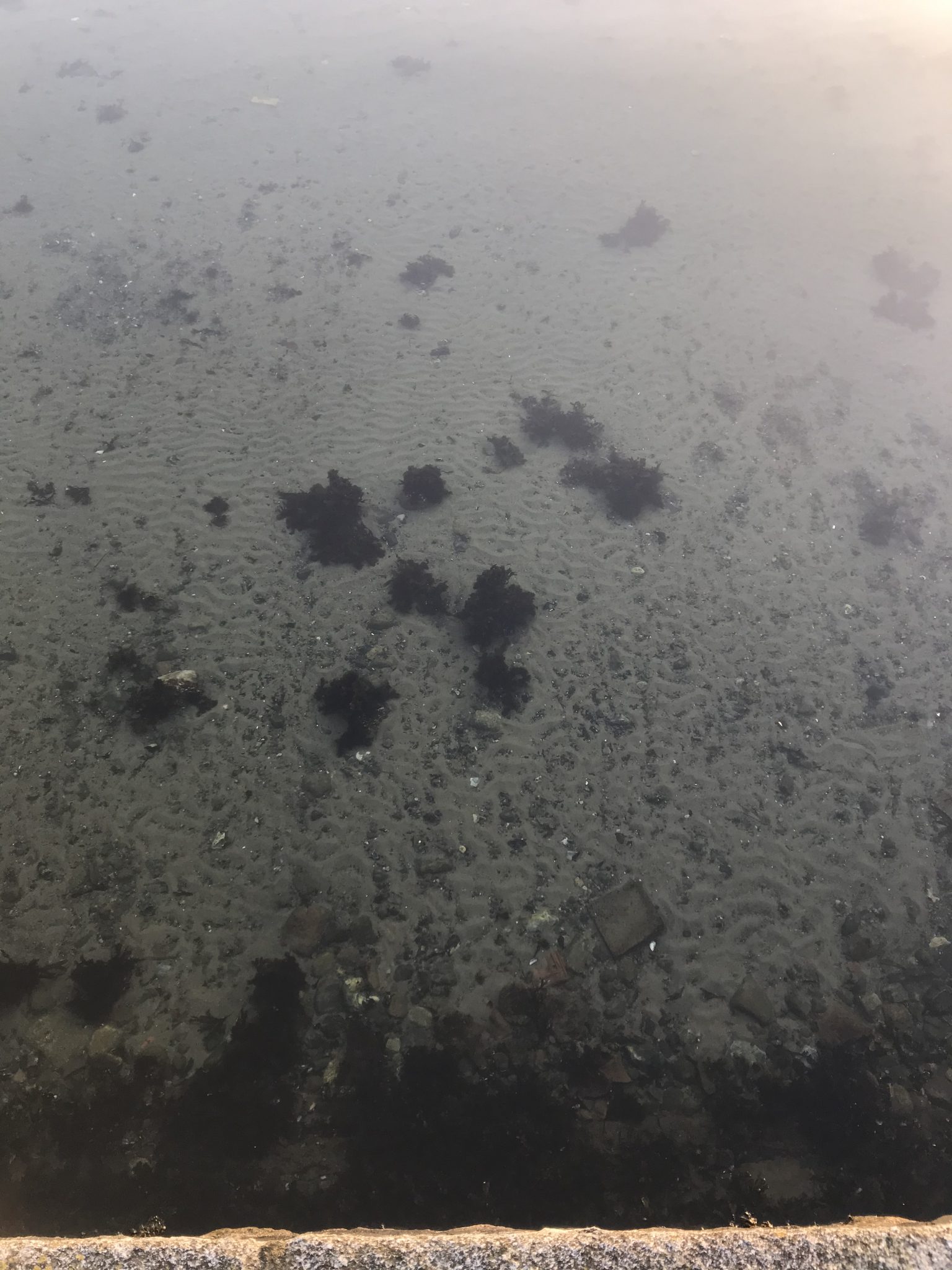 Sand ripples. Why do they form in the exact way they do? - Adventures ...