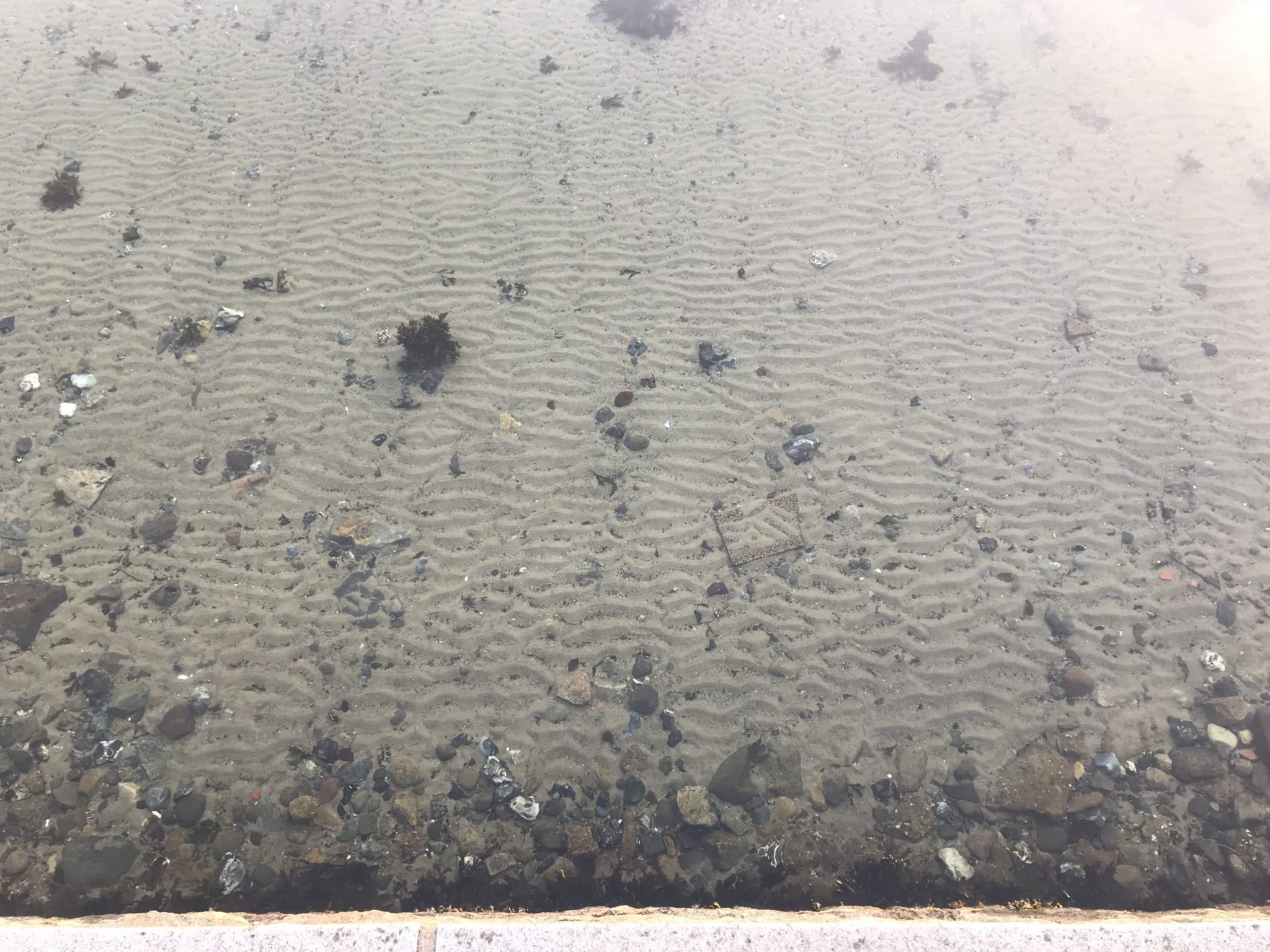 Sand ripples. Why do they form in the exact way they do? - Adventures ...