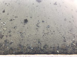 Sand ripples. Why do they form in the exact way they do? - Adventures ...