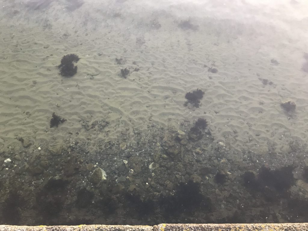 Sand ripples. Why do they form in the exact way they do? - Adventures ...