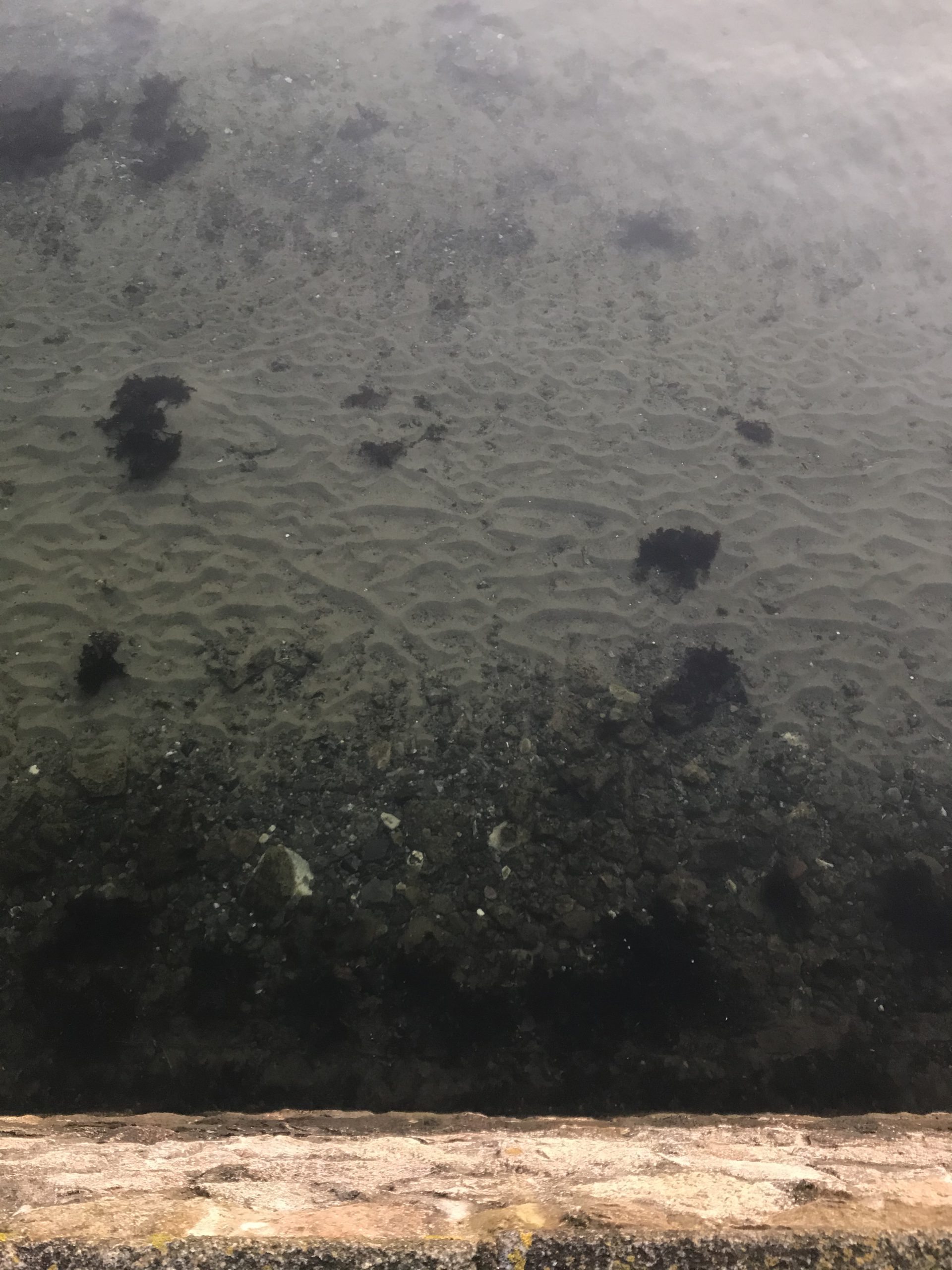 sand Archives - Adventures in Oceanography and Teaching