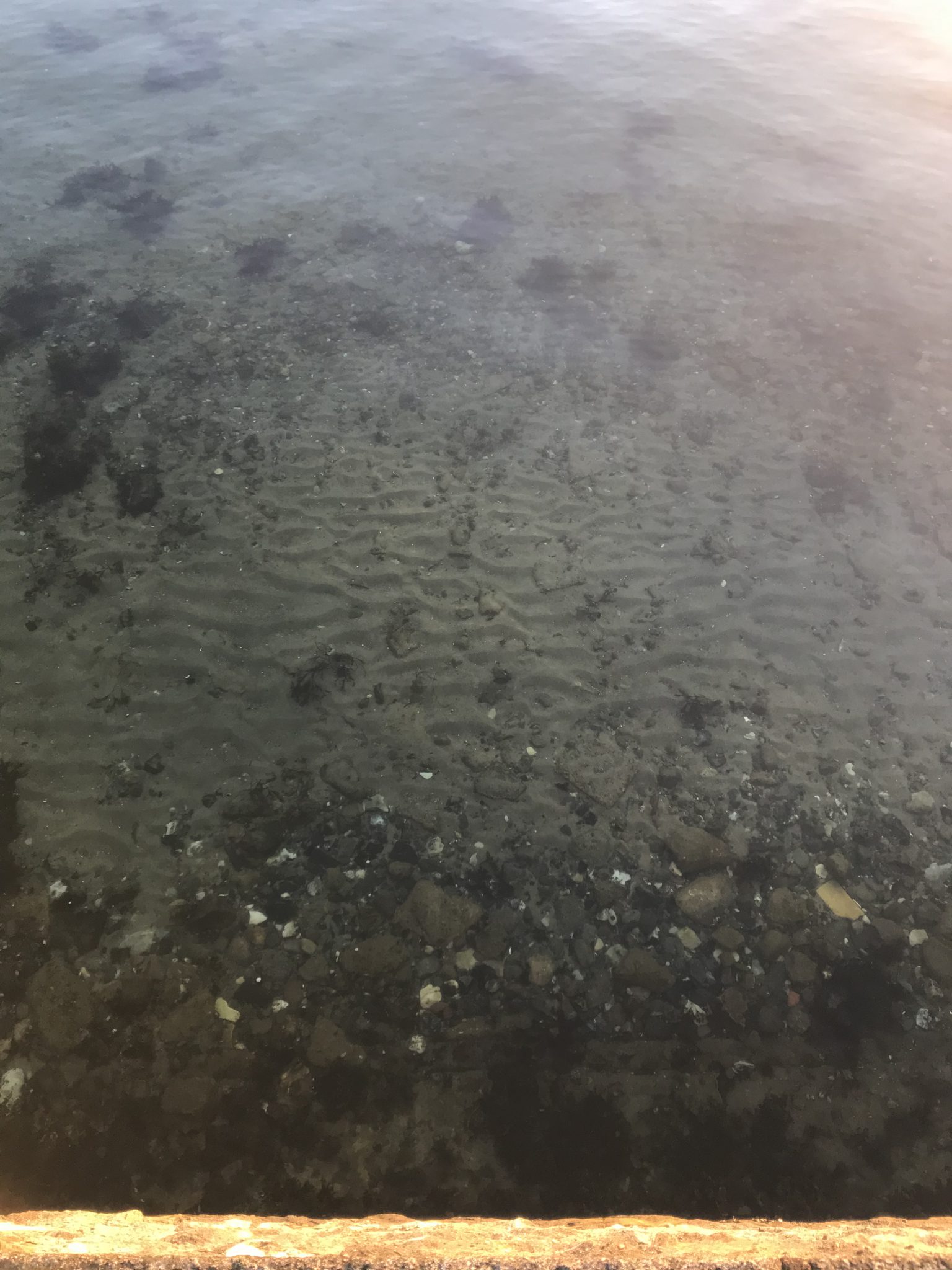 Sand ripples. Why do they form in the exact way they do? - Adventures ...