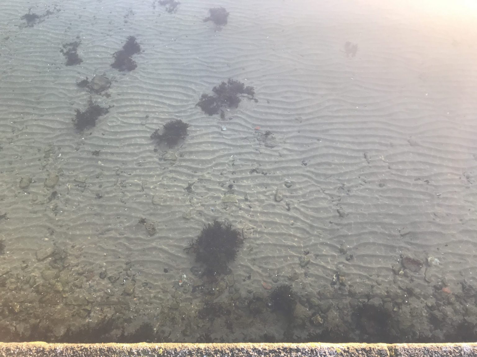 Sand ripples. Why do they form in the exact way they do? - Adventures ...