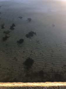 Sand ripples. Why do they form in the exact way they do? - Adventures ...