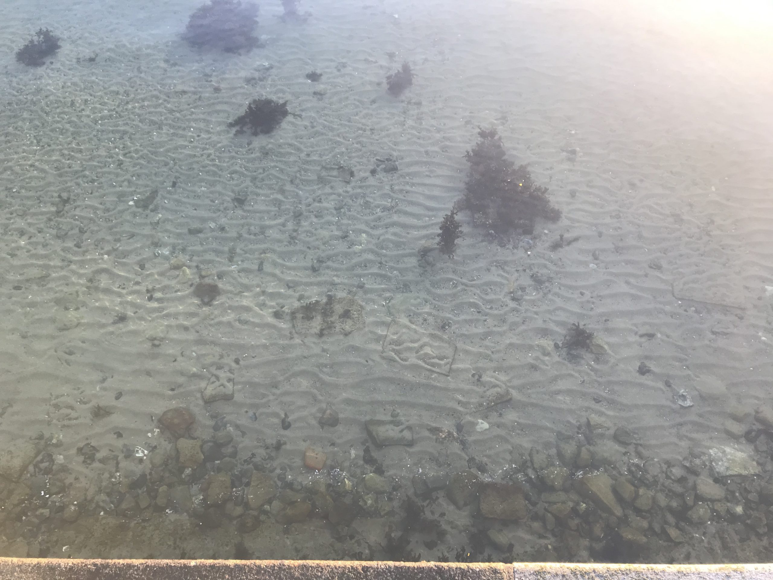 Sand ripples. Why do they form in the exact way they do? - Adventures ...