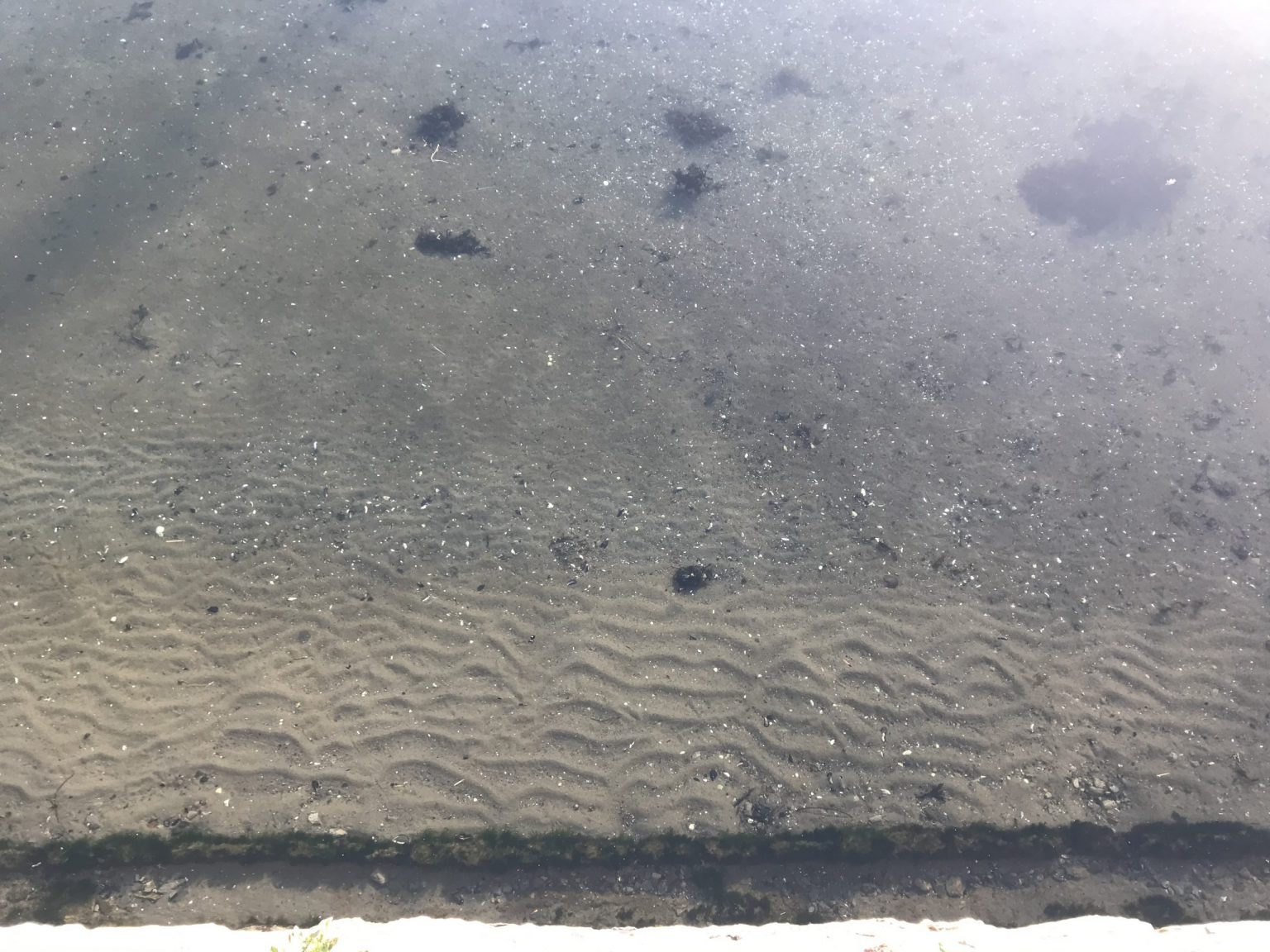 Sand ripples. Why do they form in the exact way they do? - Adventures ...