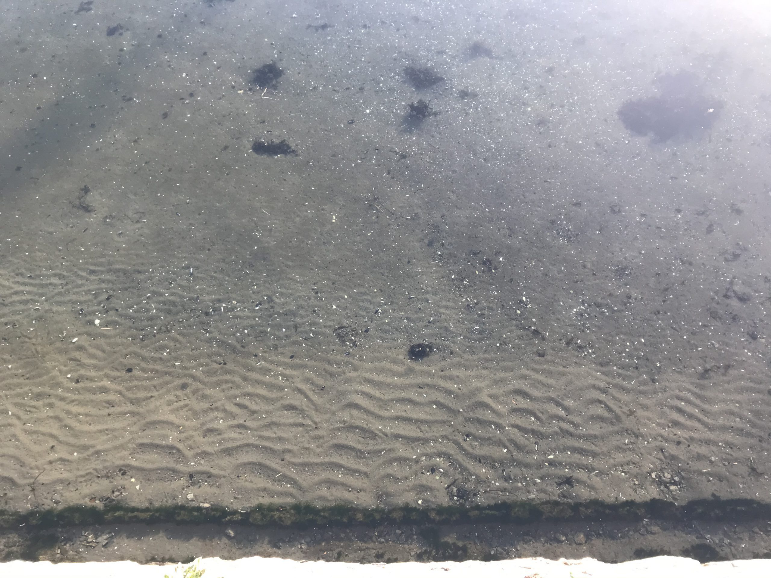 Sand ripples. Why do they form in the exact way they do? - Adventures ...