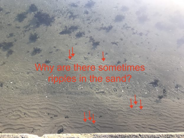 Sand ripples. Why do they form in the exact way they do? - Adventures ...