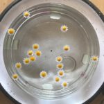 rotation Archives - Adventures in Oceanography and Teaching