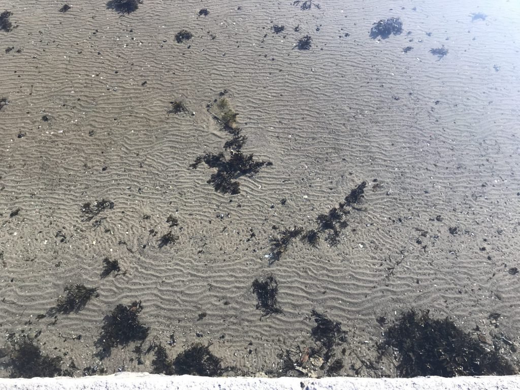 sand bank Archives - Adventures in Oceanography and Teaching