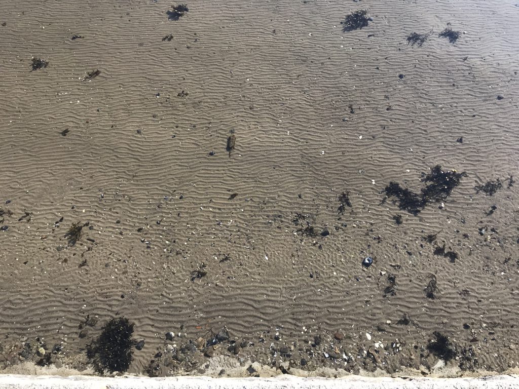 ripples Archives - Adventures in Oceanography and Teaching