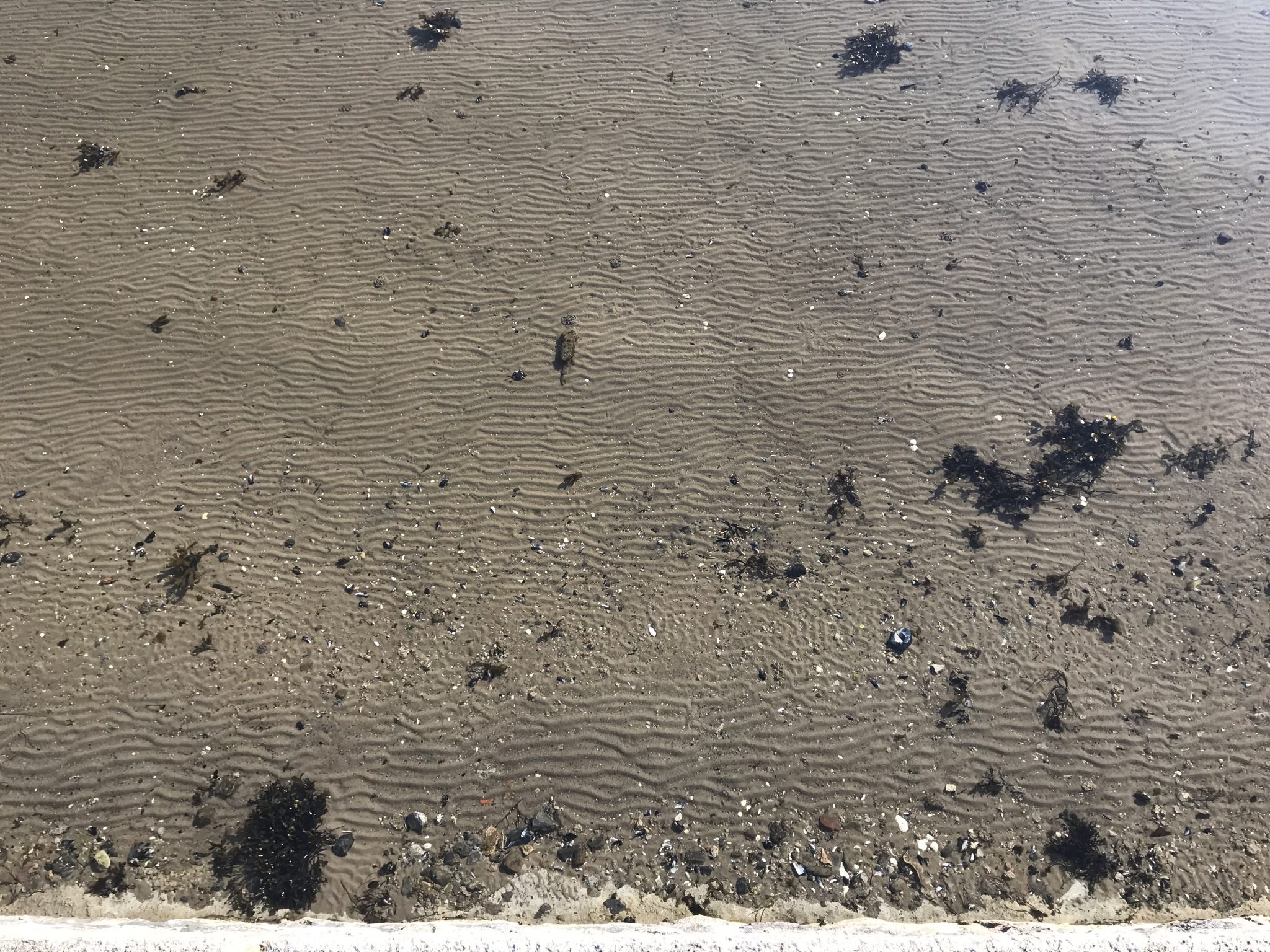 sand bank Archives - Adventures in Oceanography and Teaching