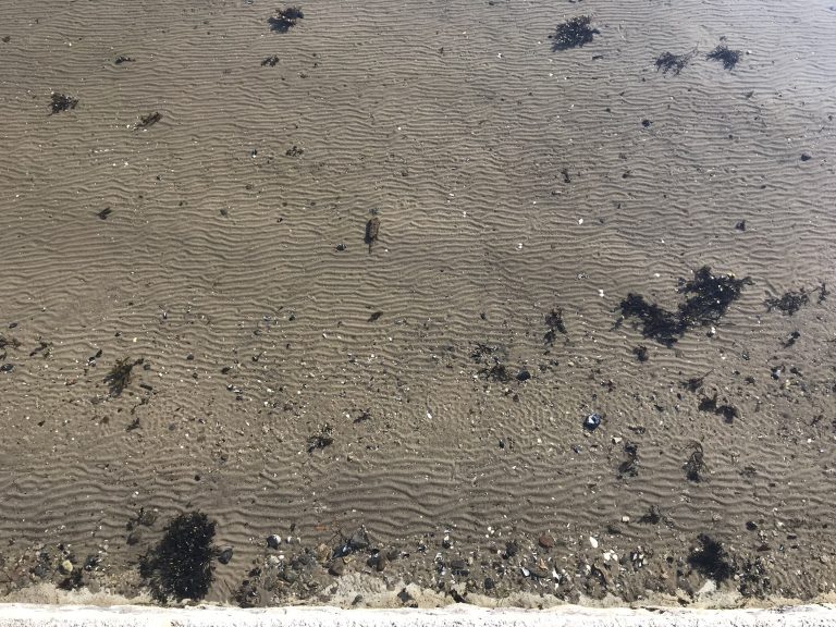 sand bank Archives - Adventures in Oceanography and Teaching