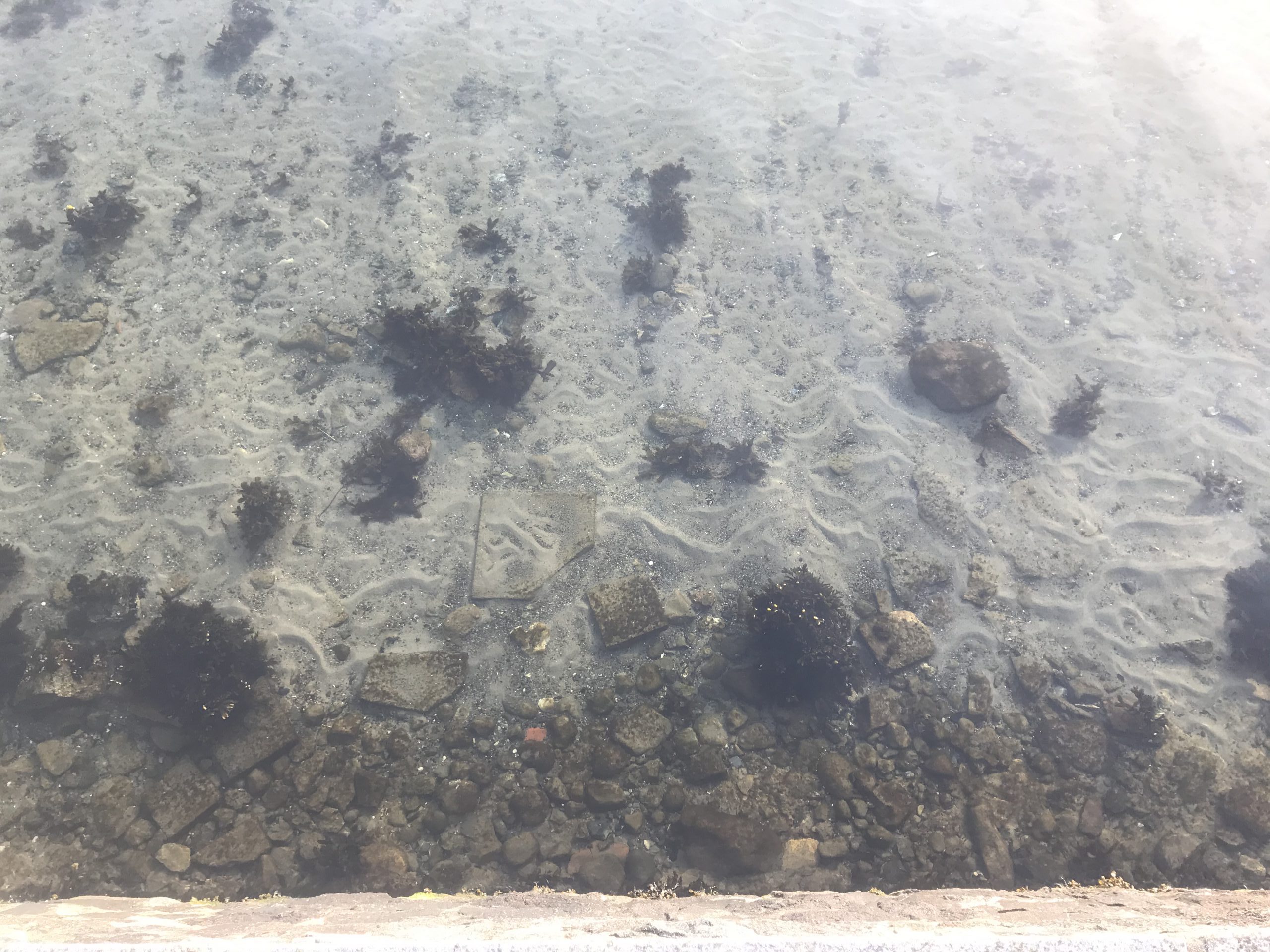 Sand ripples. Why do they form in the exact way they do? - Adventures ...