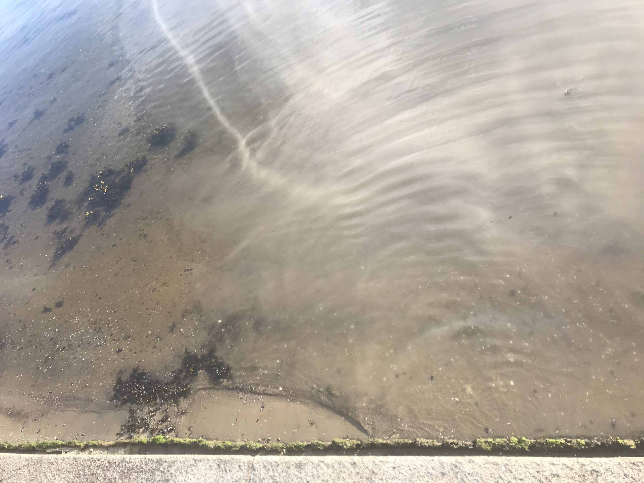 Broken water pipes - Adventures in Oceanography and Teaching