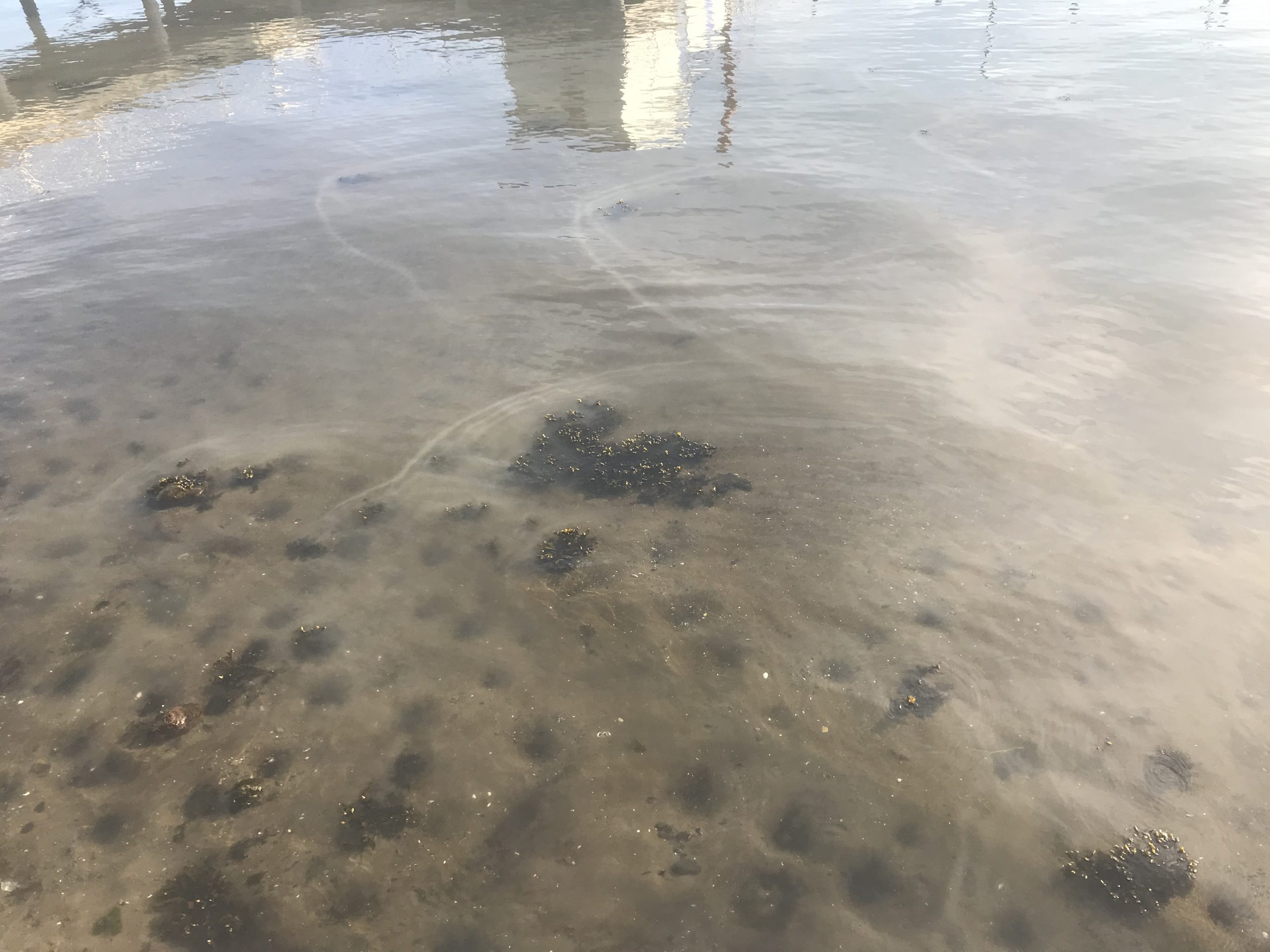 Broken water pipes - Adventures in Oceanography and Teaching