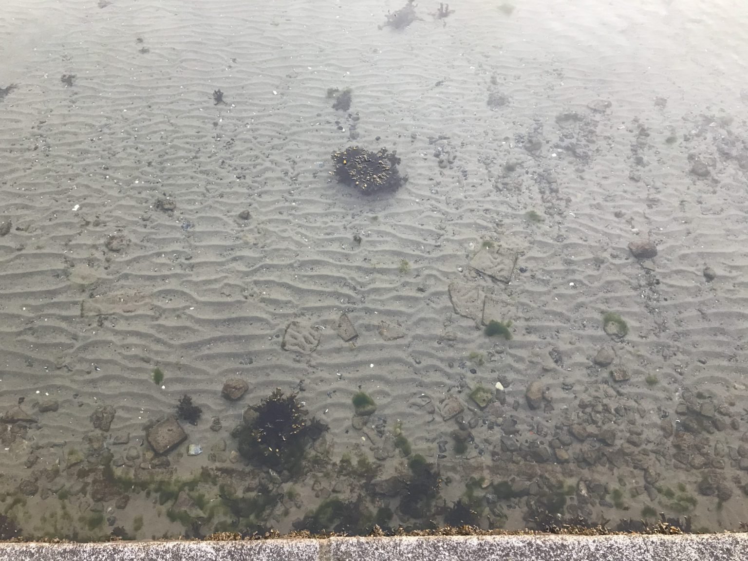 sediment Archives - Adventures in Oceanography and Teaching