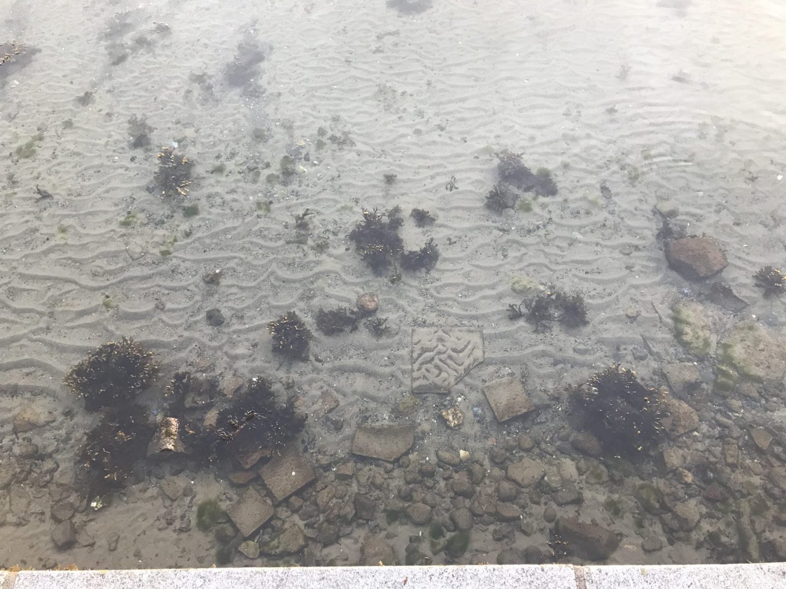 sediment Archives - Adventures in Oceanography and Teaching
