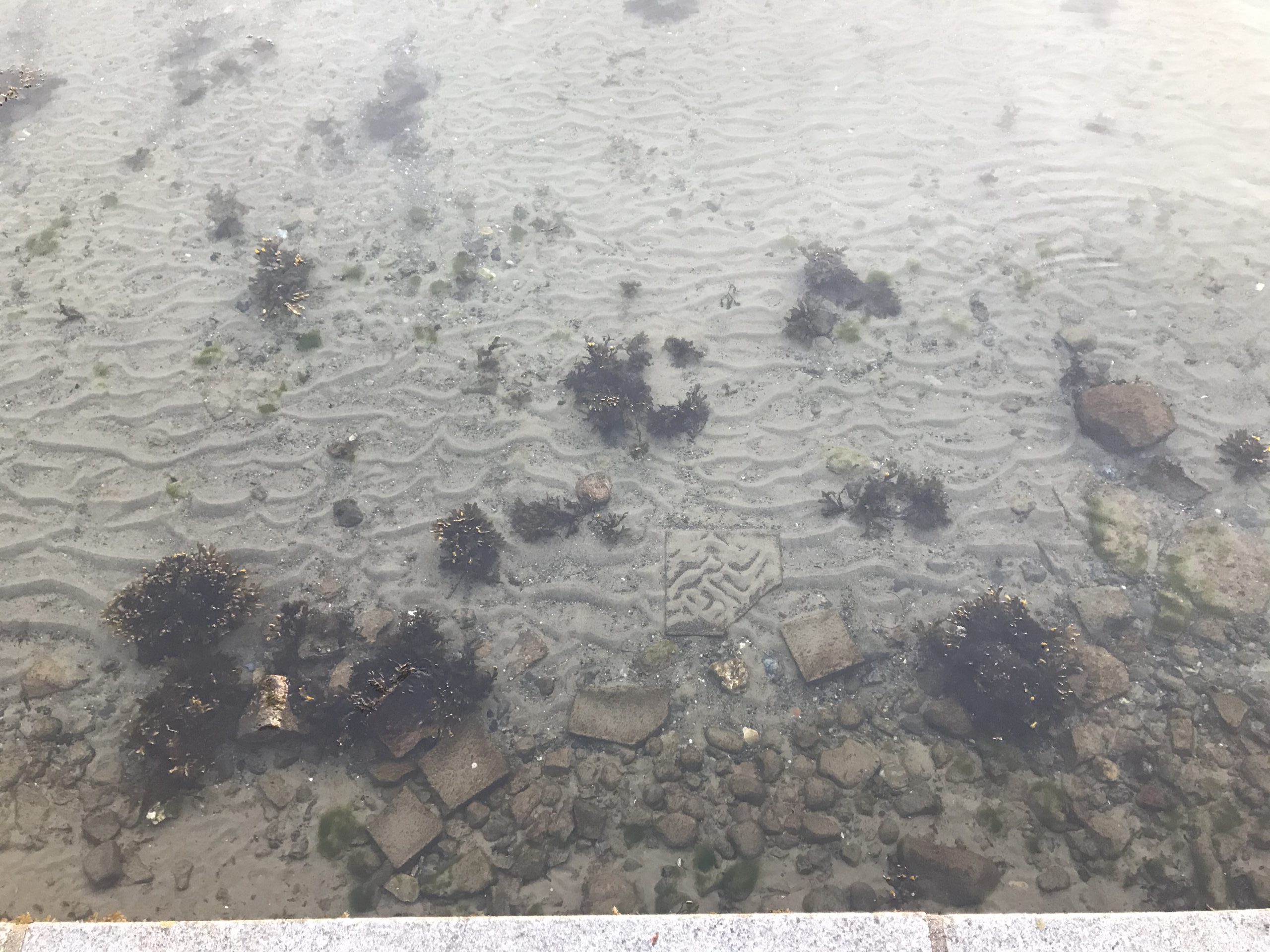 sediment Archives - Adventures in Oceanography and Teaching