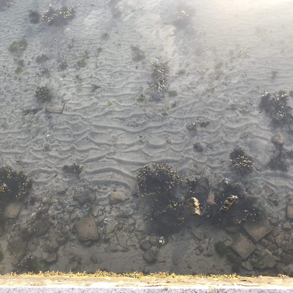 sediment Archives - Adventures in Oceanography and Teaching