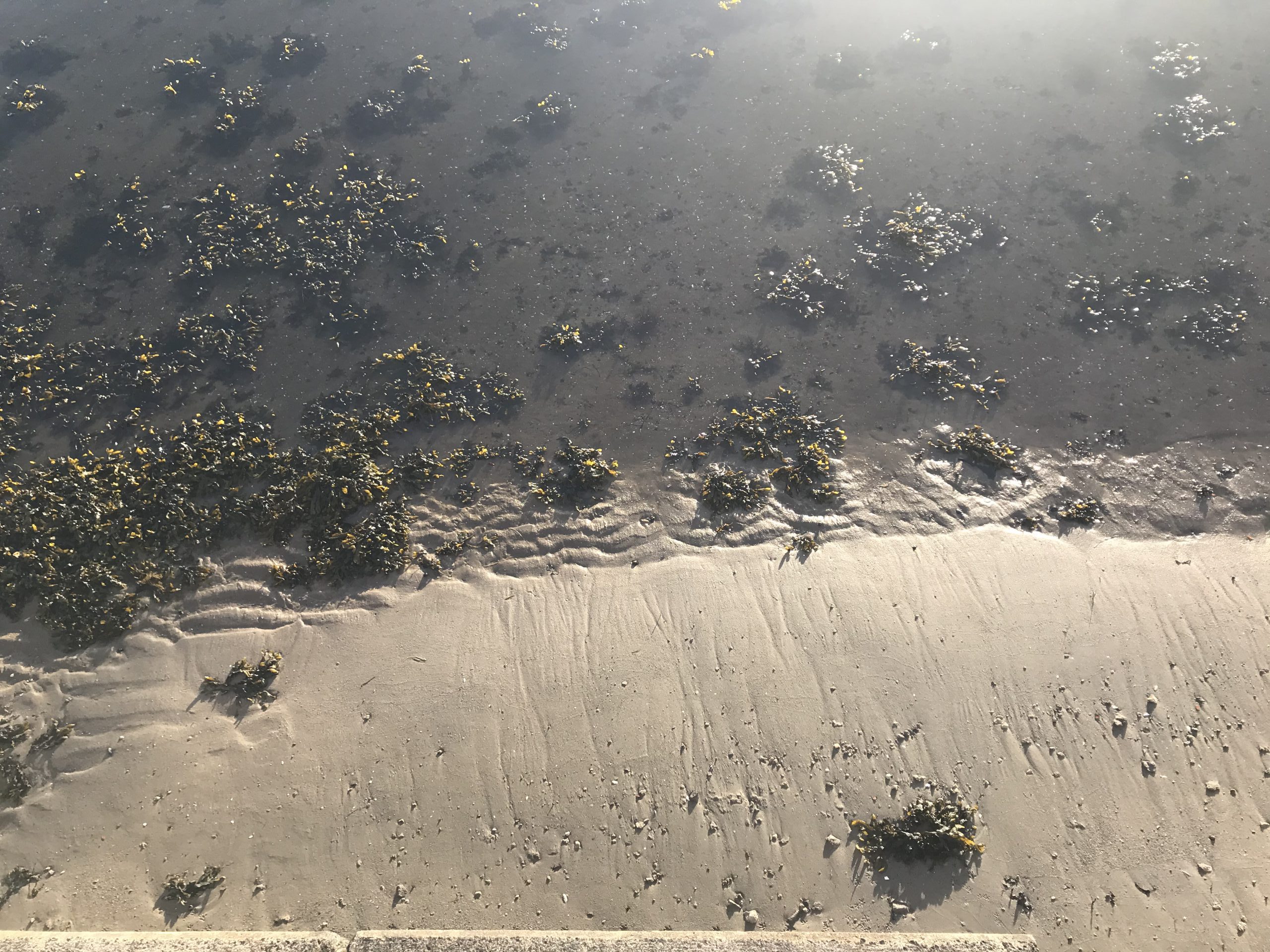 waves Archives - Adventures in Oceanography and Teaching