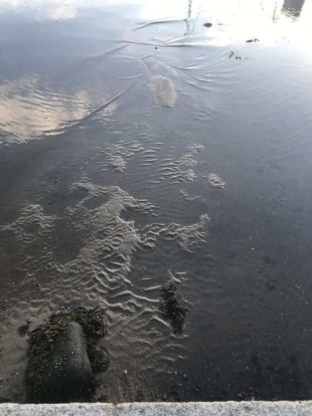 sediment Archives - Adventures in Oceanography and Teaching