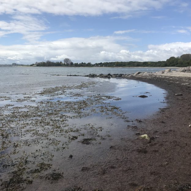 Birthday on the beach - Adventures in Oceanography and Teaching