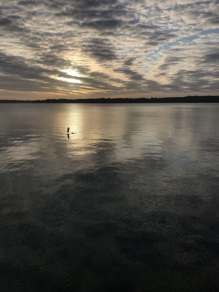 Birds make for super interesting wave watching! - Adventures in ...