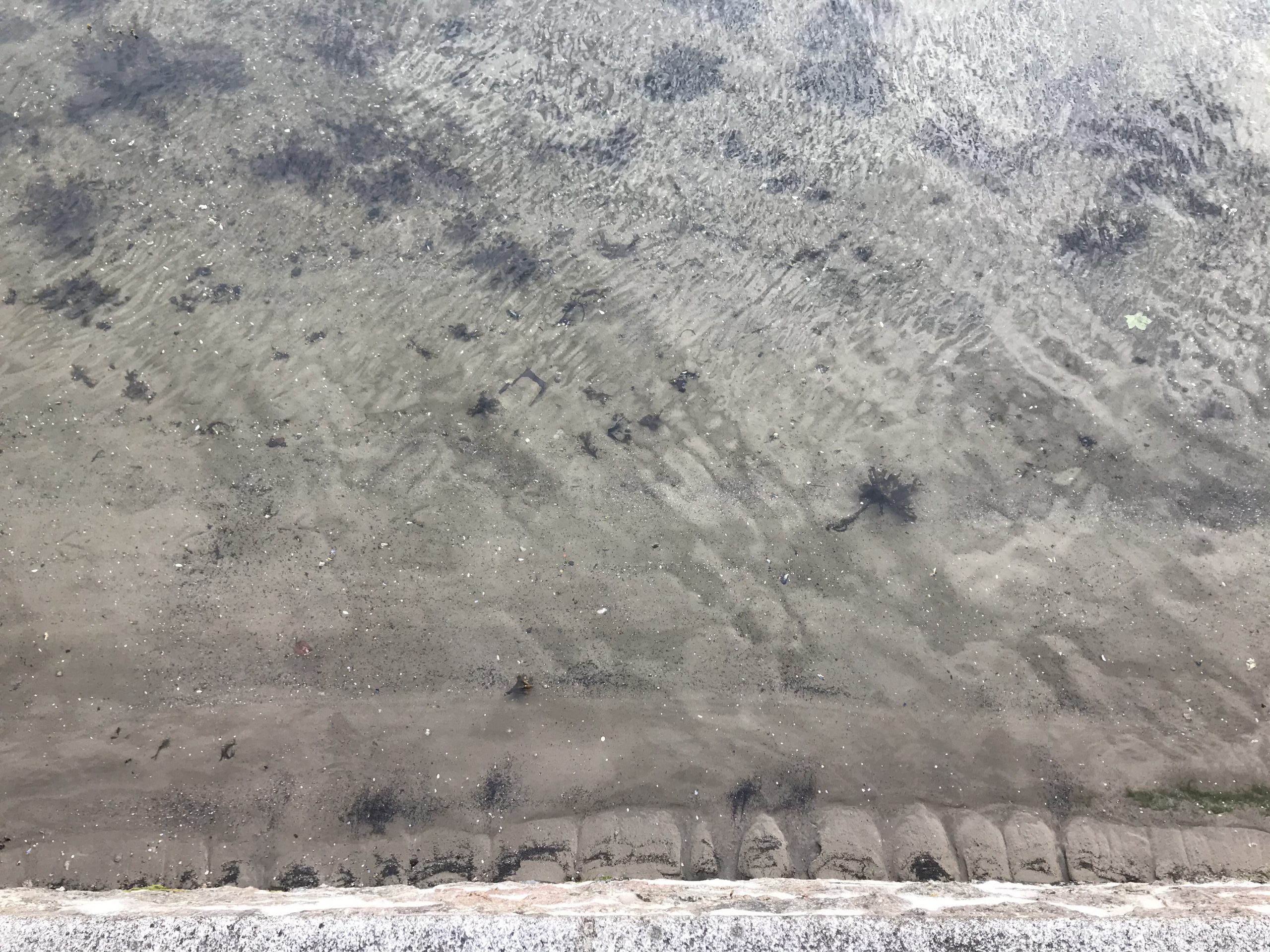 Irregular wave ripples, and some left on the beach when the water is ...