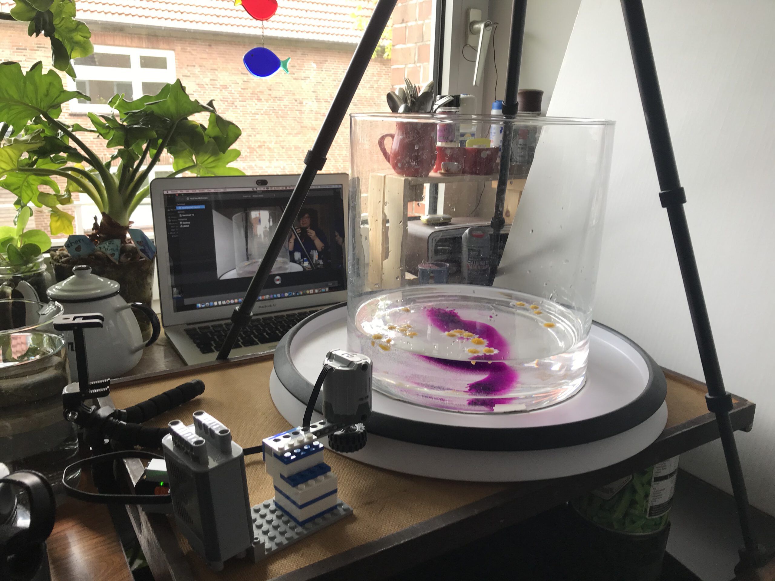(Remotely controlled?) DIYnamics kitchen oceanography experiments ...
