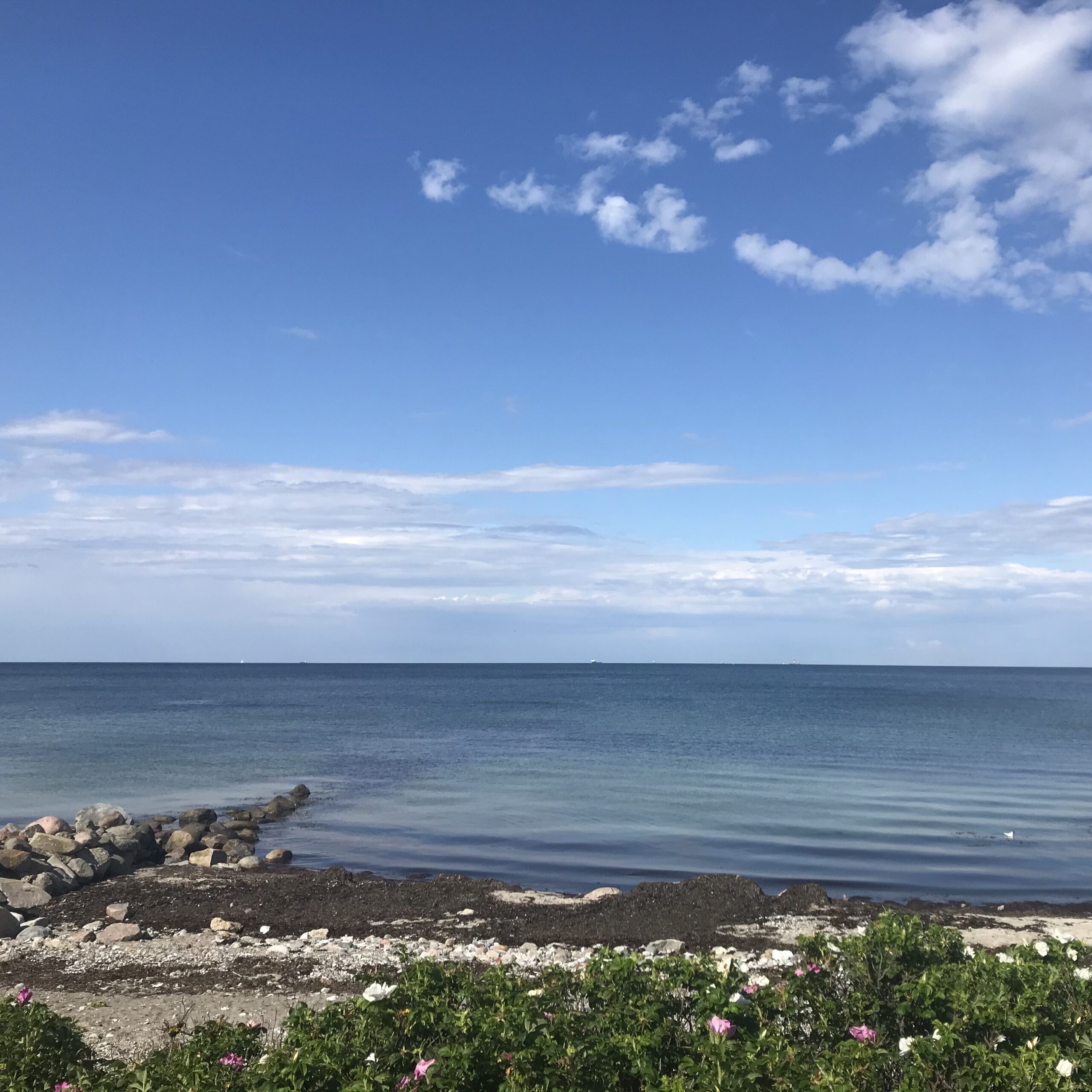 #WaveWatchingWednesday - Adventures in Oceanography and Teaching