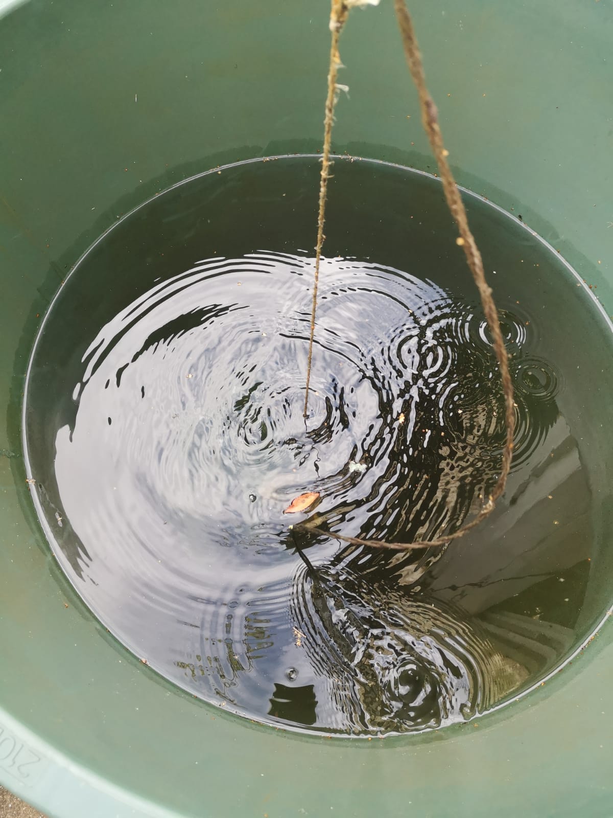 7 years of blogging! Celebratory wave watching with A LOT OF # ...