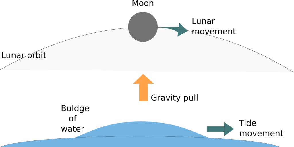 Marine energy: Tides. A guest post by Manel Camacho - Adventures in ...