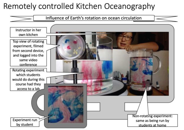 Teaching field courses in a virtual setting - Adventures in ...
