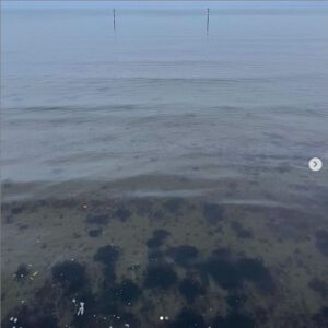 #WaveWatchingWednesday - Adventures in Oceanography and Teaching