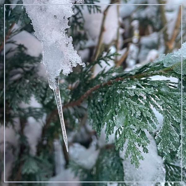 ice crystals Archives - Adventures in Oceanography and Teaching