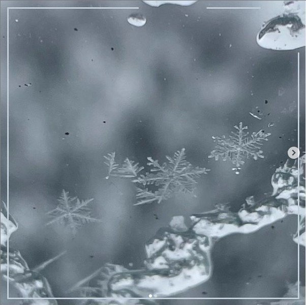 ice formation Archives - Adventures in Oceanography and Teaching