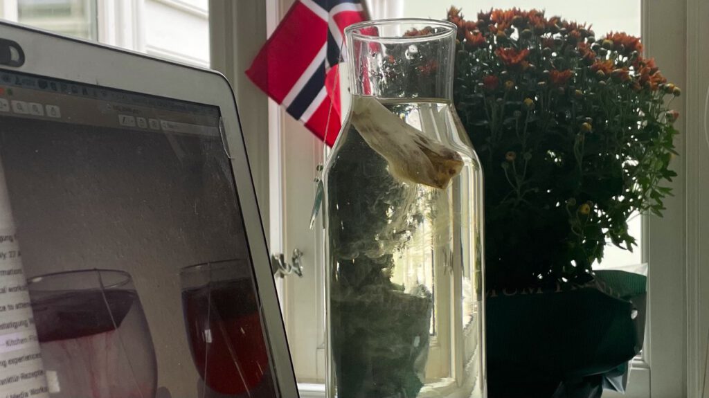 Molecular diffusion at different temperatures (involving tea bags and ...